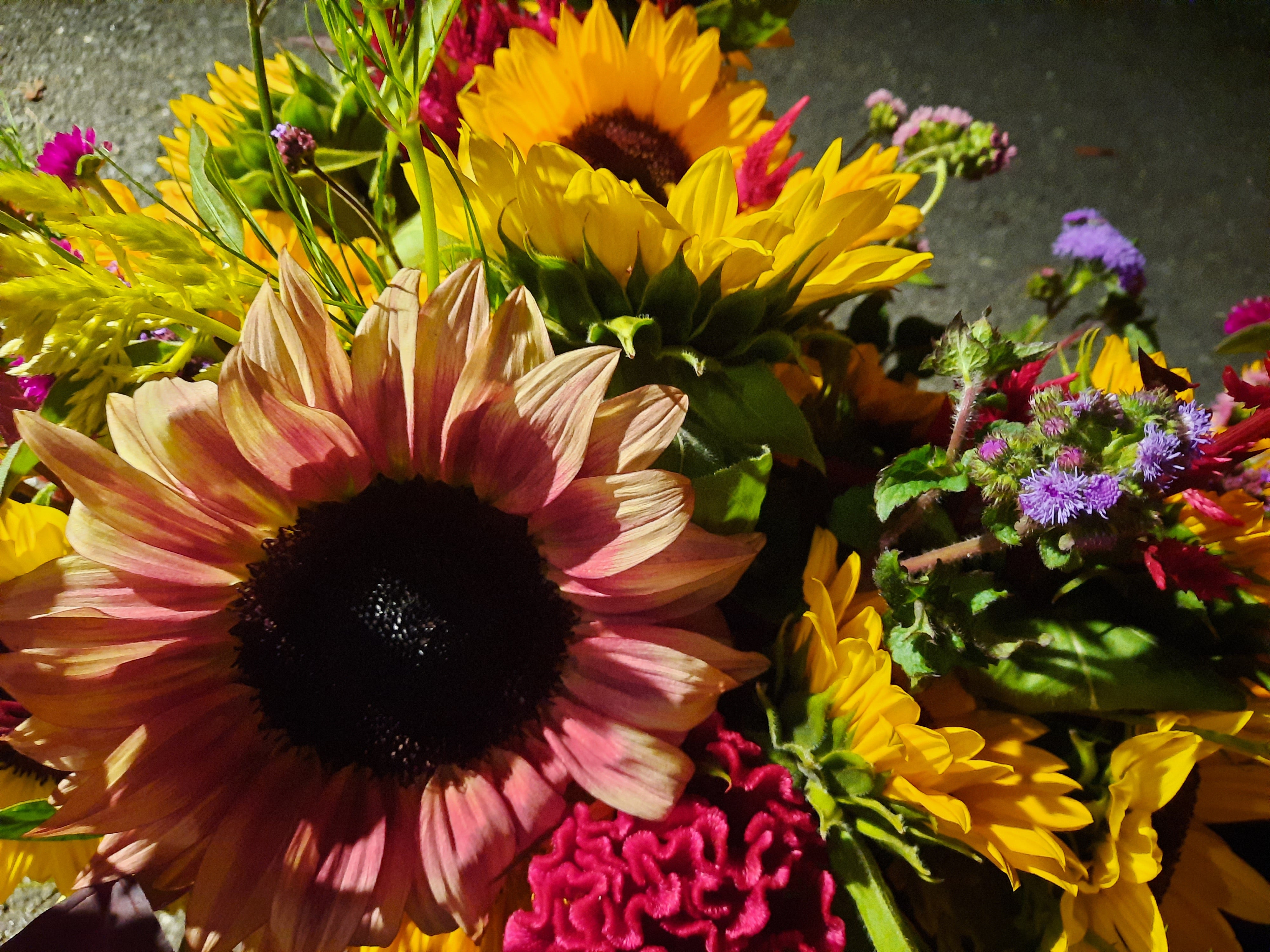 Never Enough Flowers